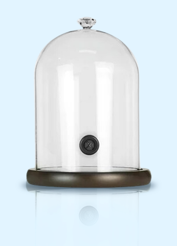 L Smoke Dome – Cocktail Shop India